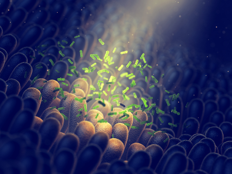 Probiotics, Prebiotics... What's the Difference?